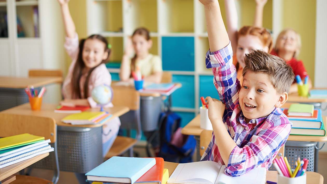 Science Summer Camps & Programs | Denver, CO | Mad Science of Colorado