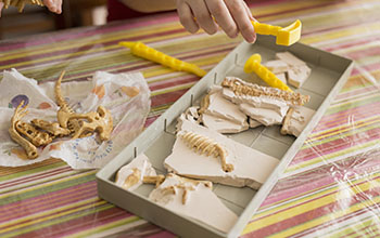 Science Birthday Parties | Denver, CO